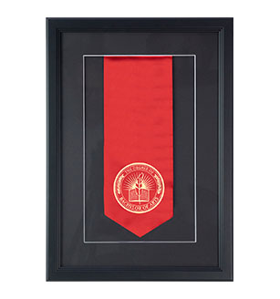 Custom frame for college sash