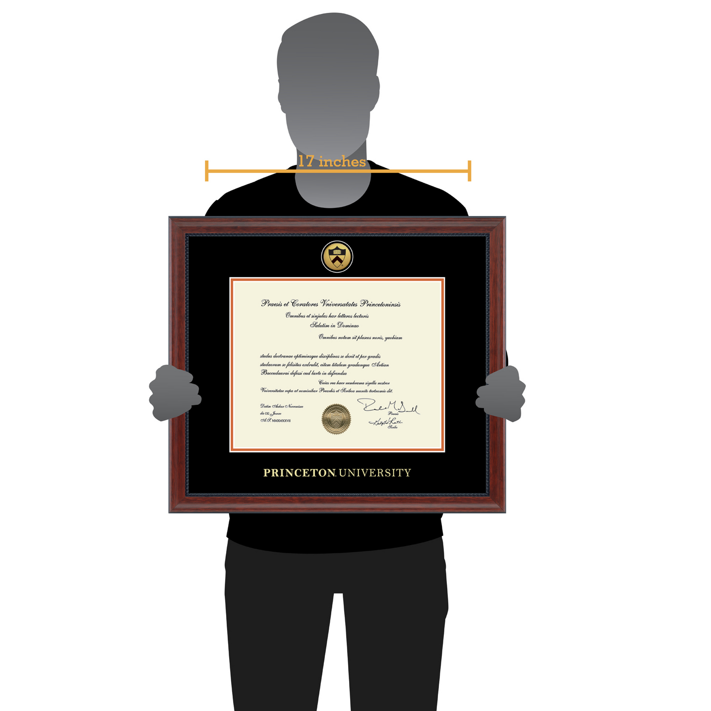 Princeton University Gold Engraved Medallion Diploma Frame in Signature ...