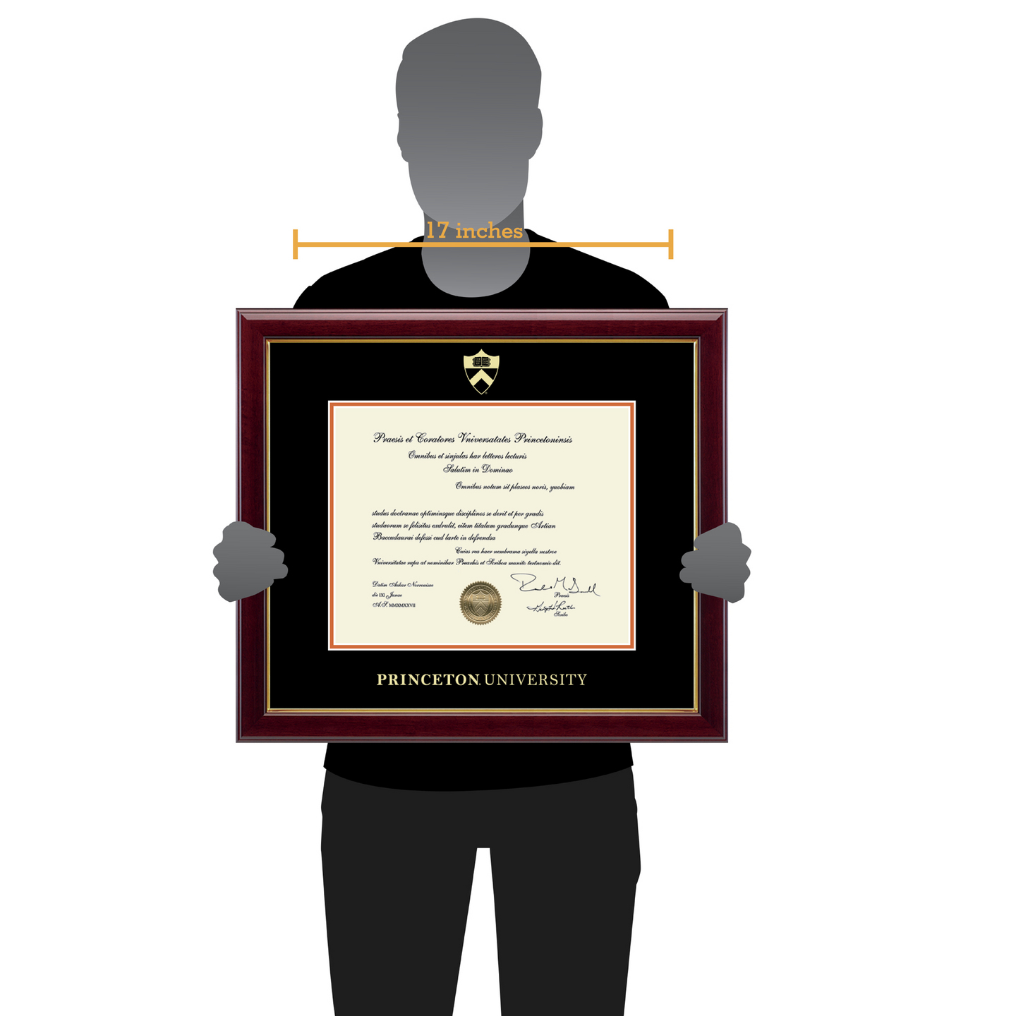 Princeton University Gold Embossed Diploma Frame in Gallery - Item ...