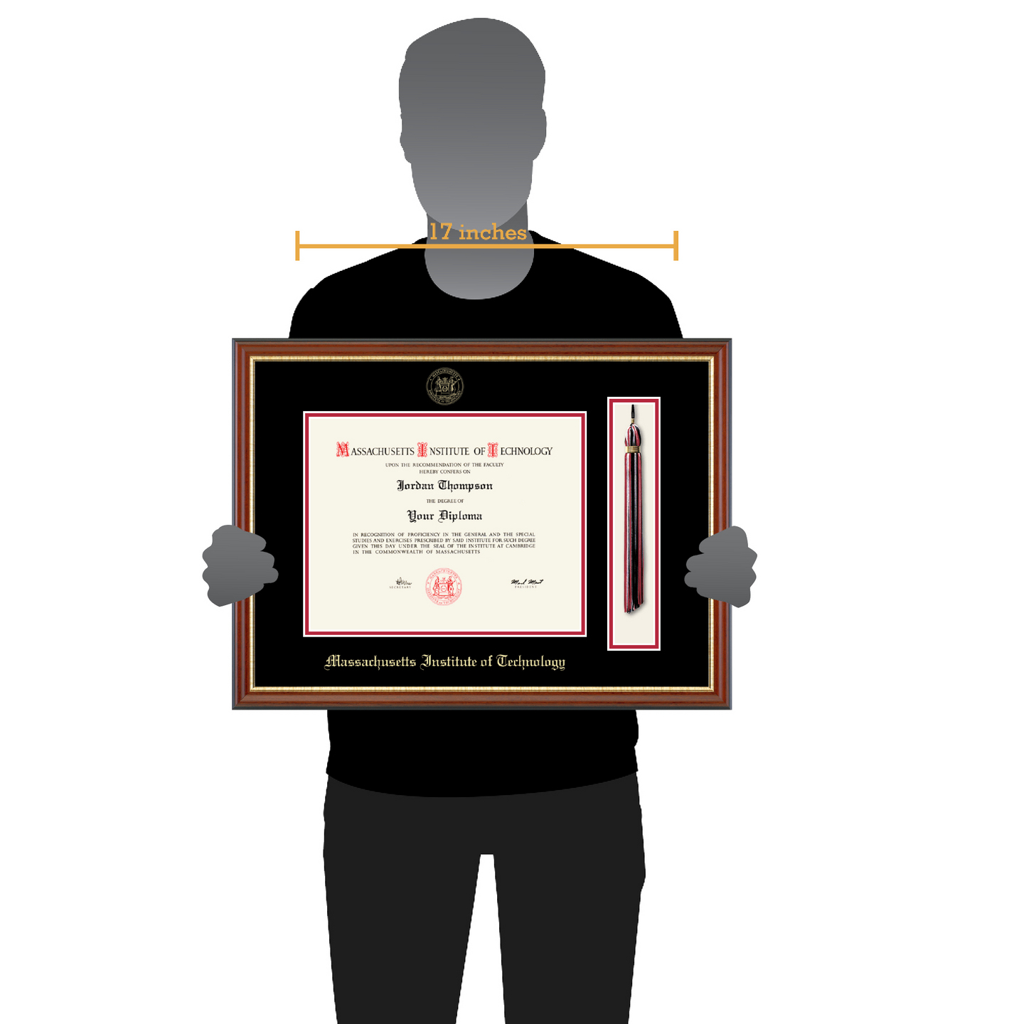 Massachusetts Institute of Technology Tassel Edition Diploma Frame in ...