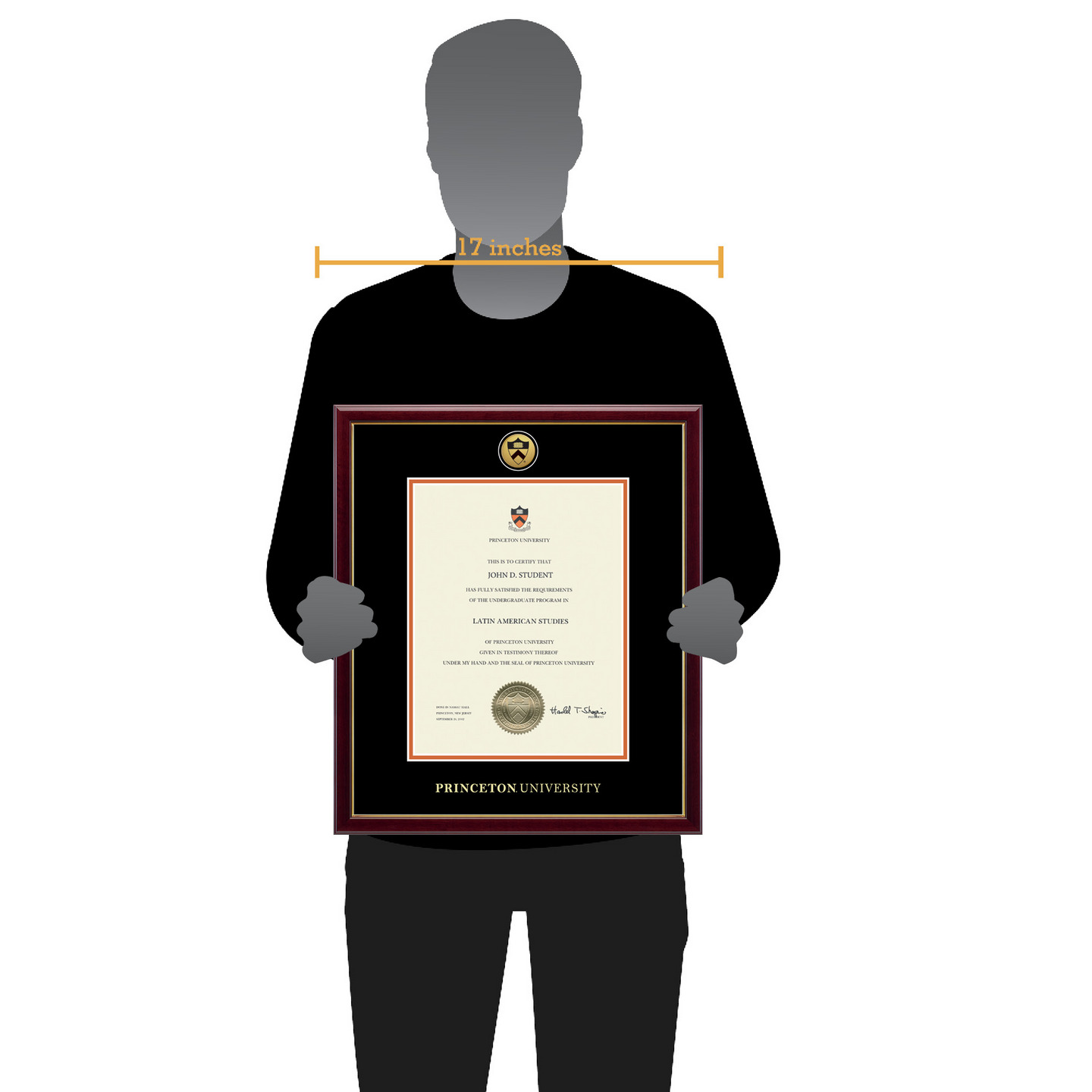 Princeton University Gold Engraved Medallion Certificate Frame in ...