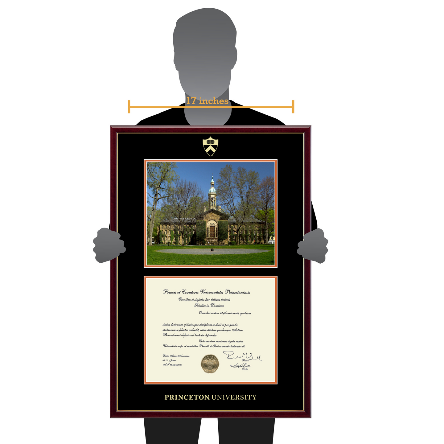 Princeton University Campus Scene Diploma Frame in Galleria - Item ...