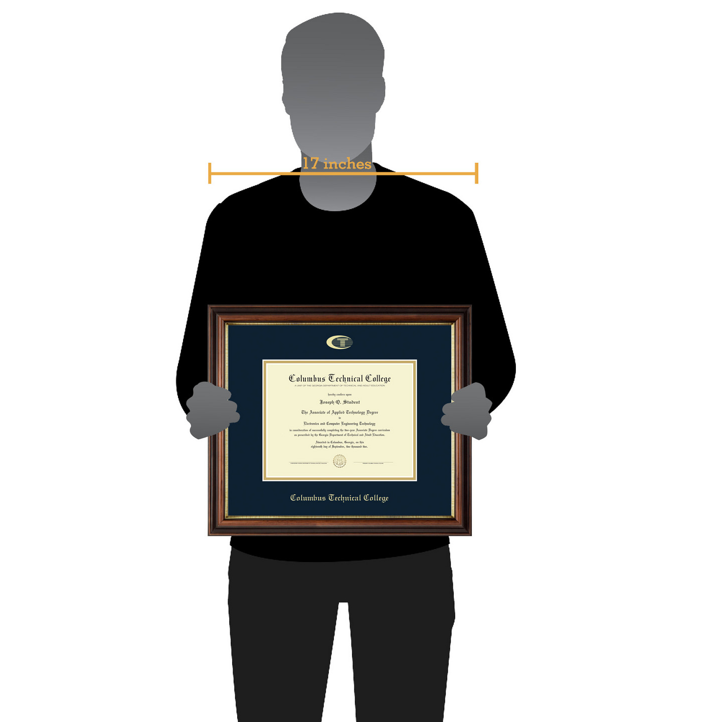 Columbus Technical College Gold Embossed Diploma Frame in Lancaster ...