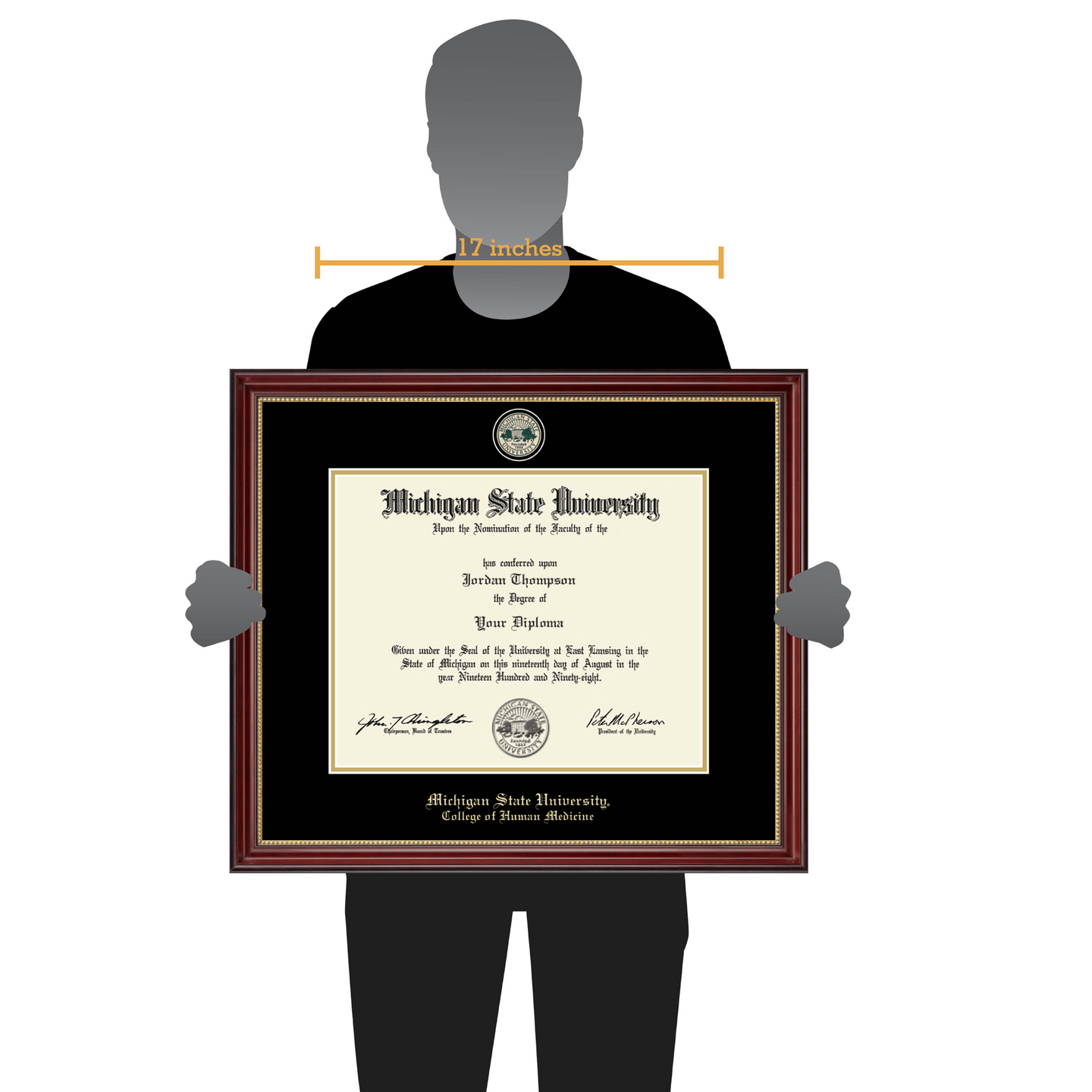 Michigan State University Masterpiece Medallion Diploma Frame in ...