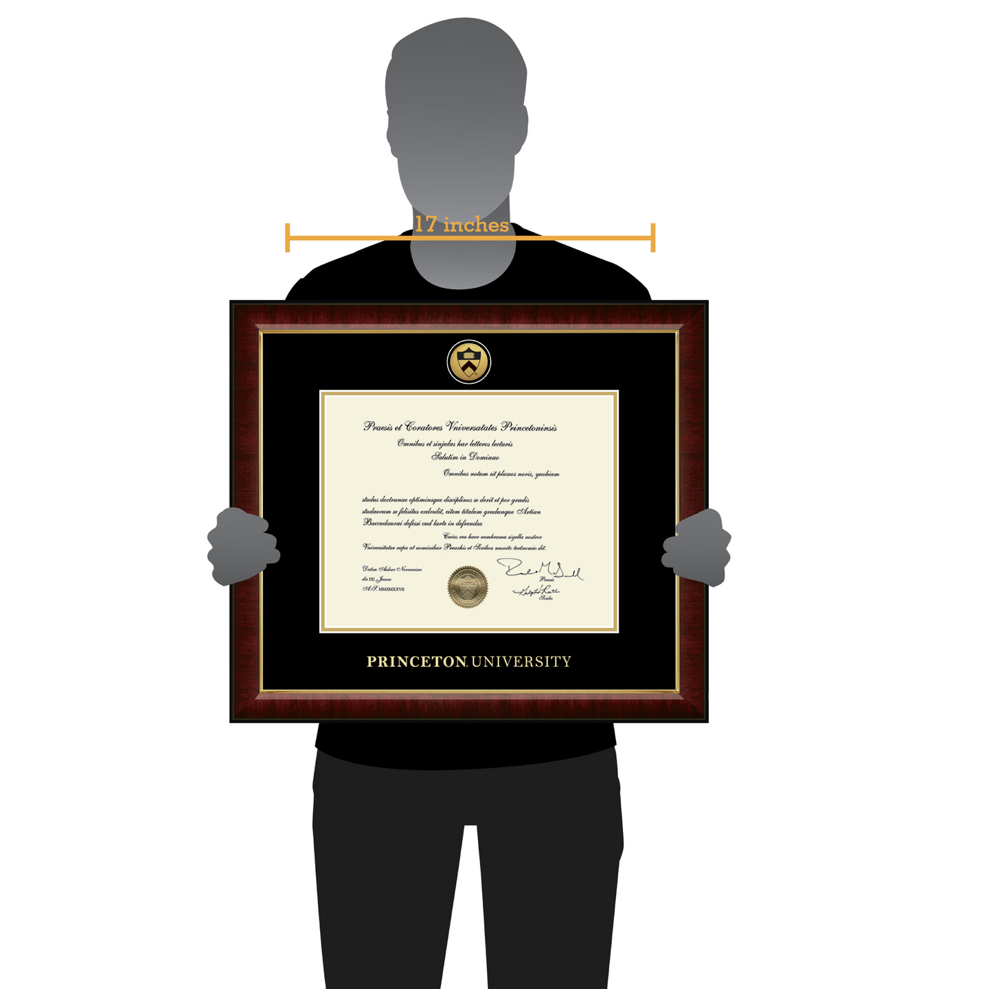 Princeton University Gold Engraved Medallion Diploma Frame in Murano ...