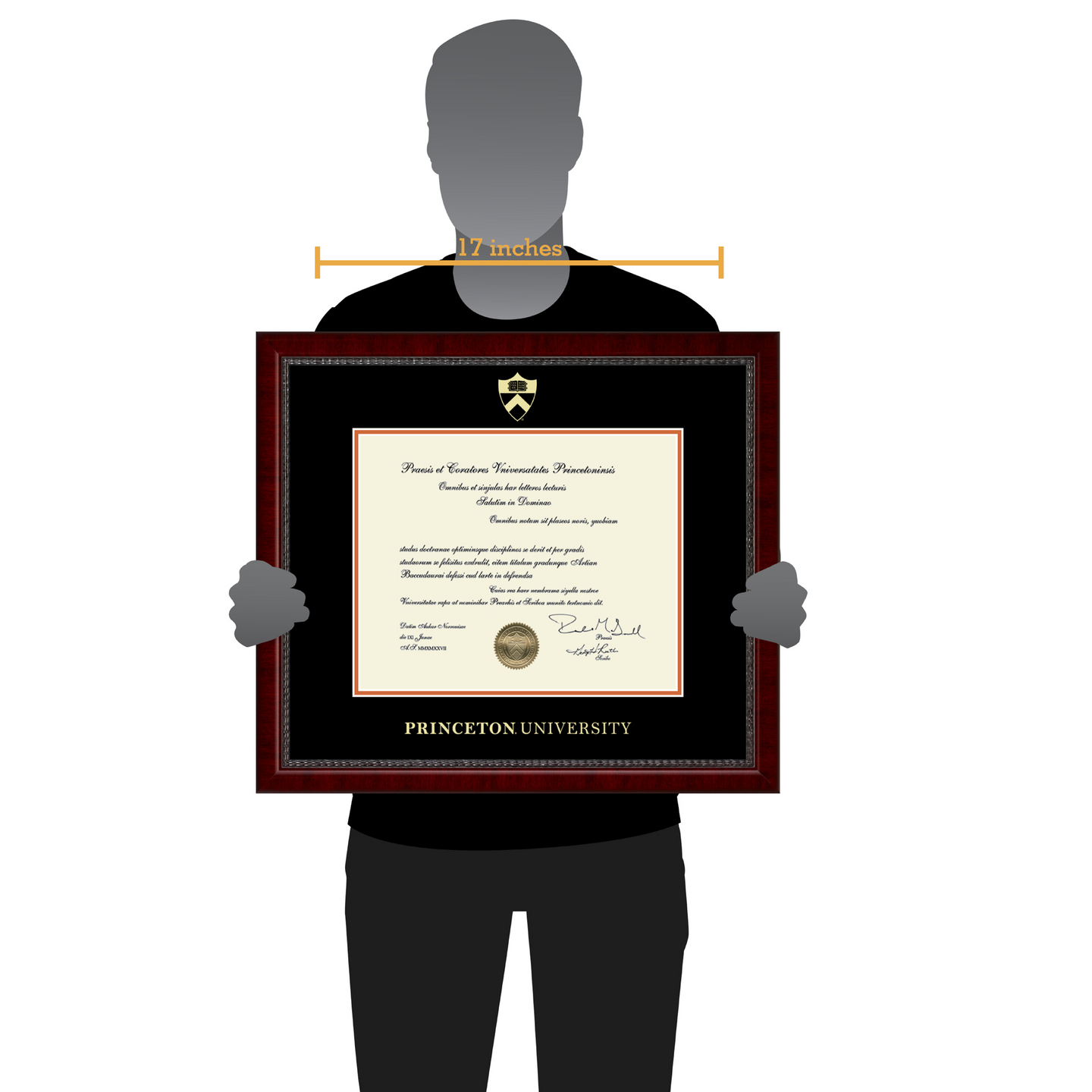 Princeton University Gold Embossed Diploma Frame in Sutton - Item ...