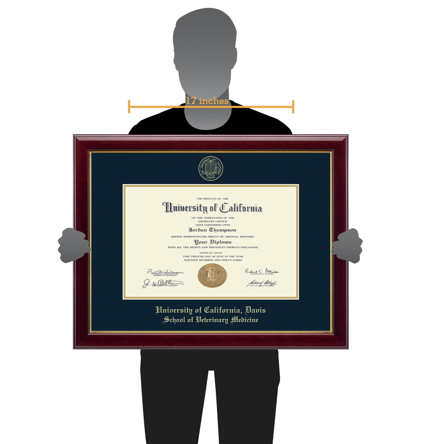 University of California Davis Gold Embossed Diploma Frame in Gallery ...