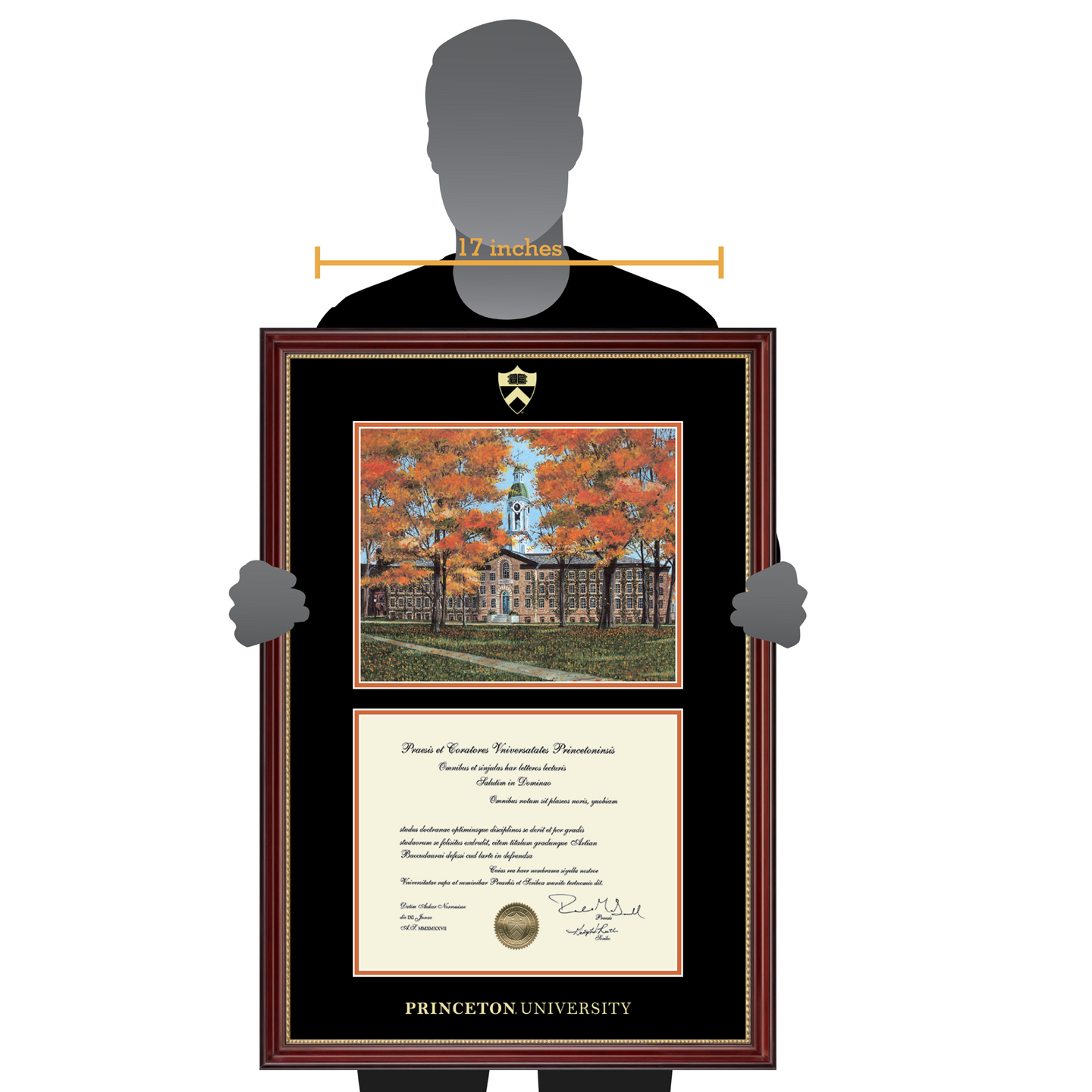 Princeton University Campus Scene Diploma Frame in Kensington Gold ...