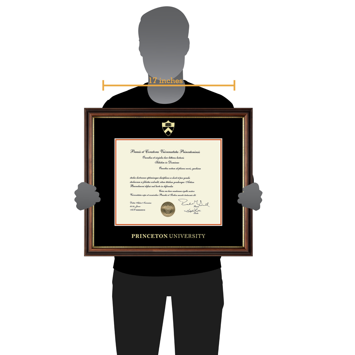 Princeton University Gold Embossed Diploma Frame in Regency Gold - Item ...