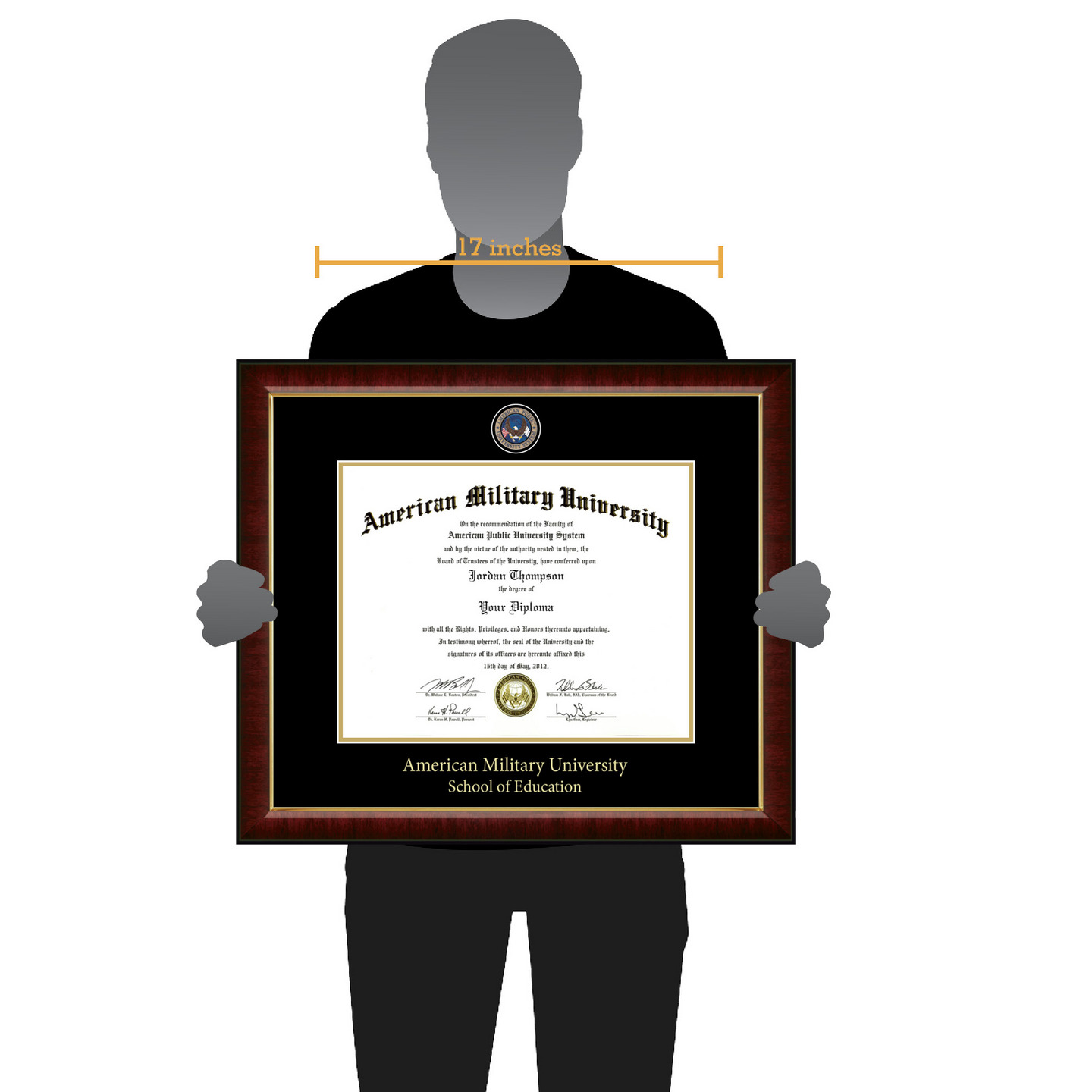 American Military University Masterpiece Medallion Diploma Frame in ...