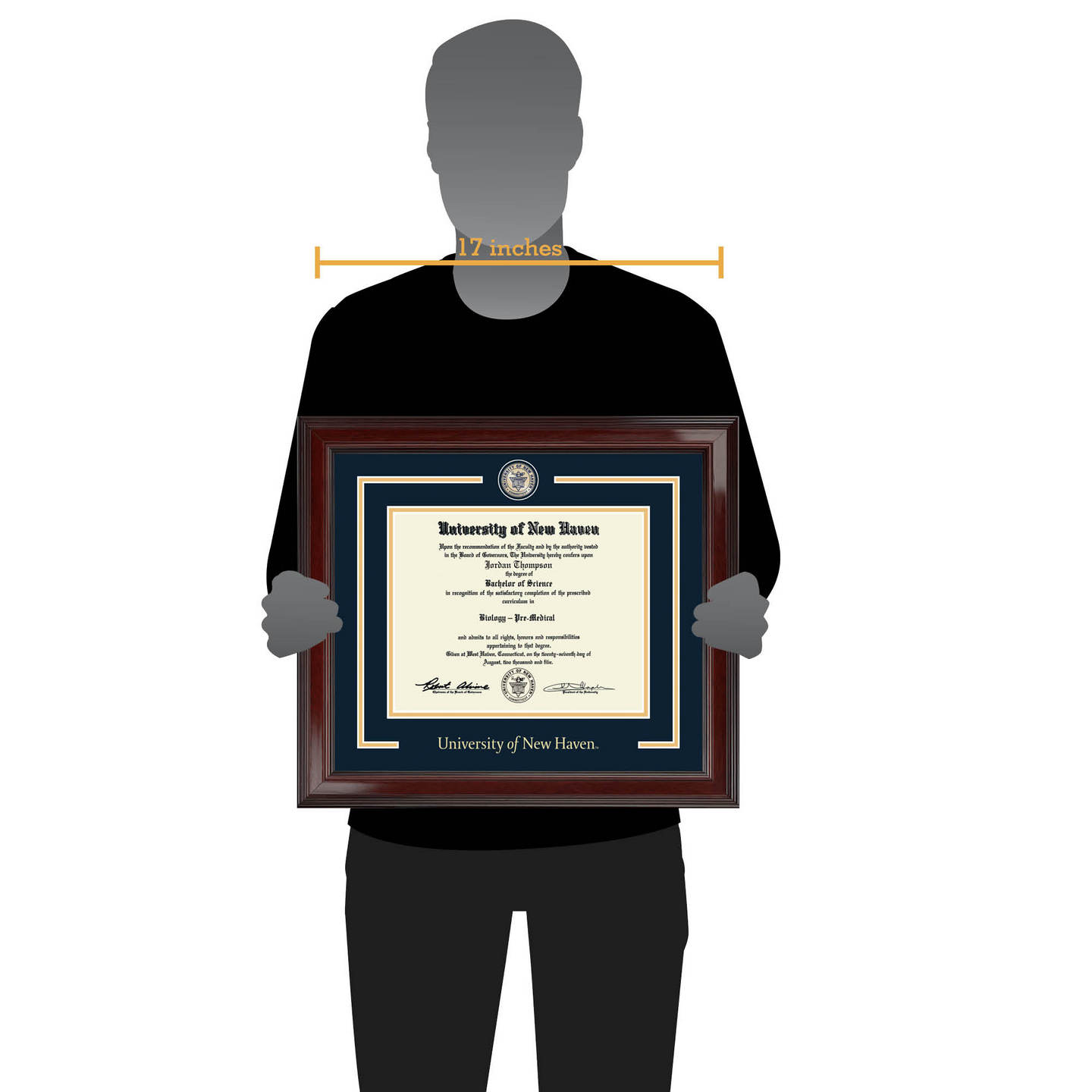 University of New Haven Showcase Edition Diploma Frame in Encore - Item ...