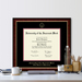 University of the Incarnate Word Gold Embossed Diploma Frame in Murano ...