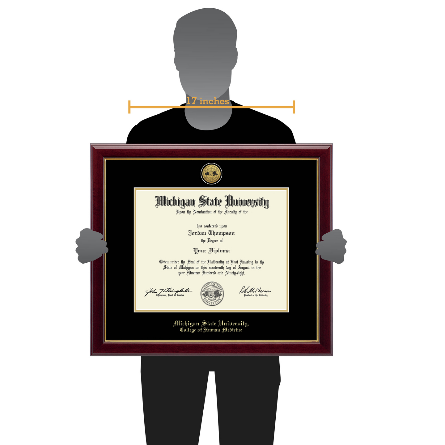 Michigan State University Gold Engraved Medallion Diploma Frame in ...