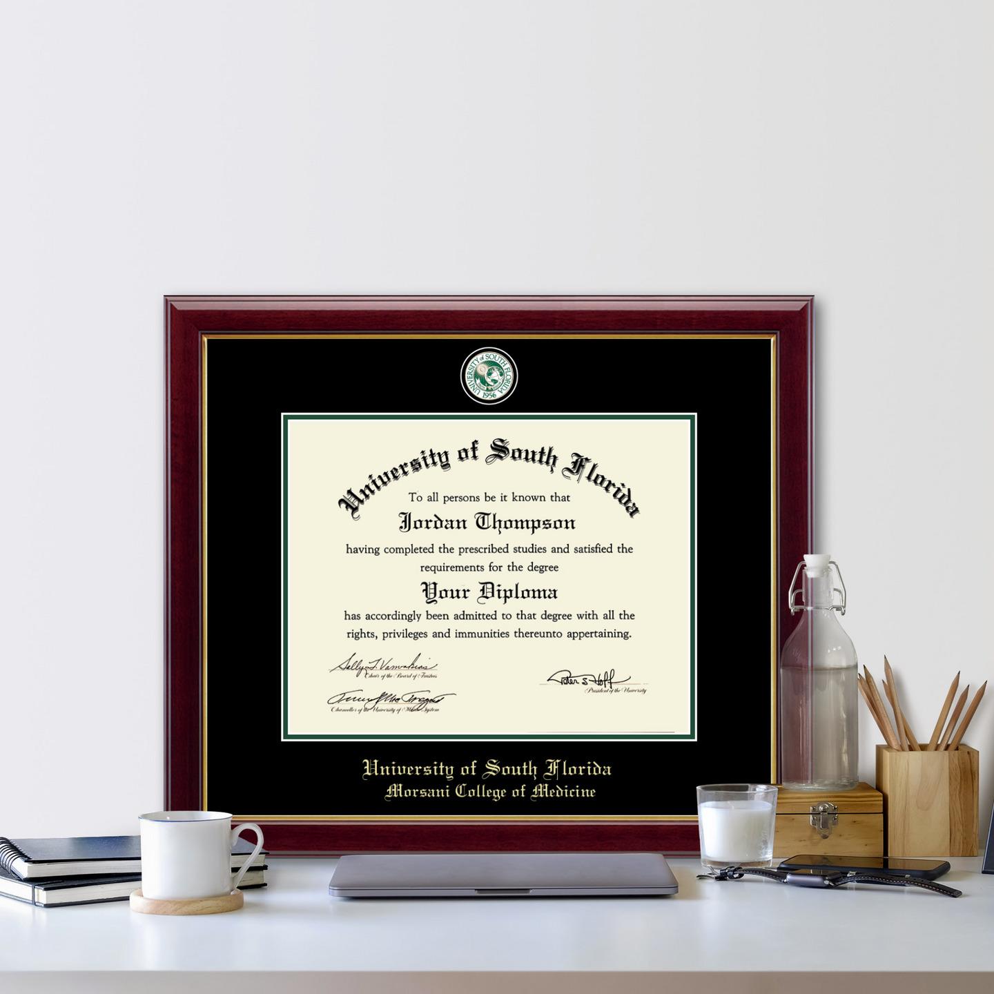 University of South Florida Masterpiece Medallion Diploma Frame in ...