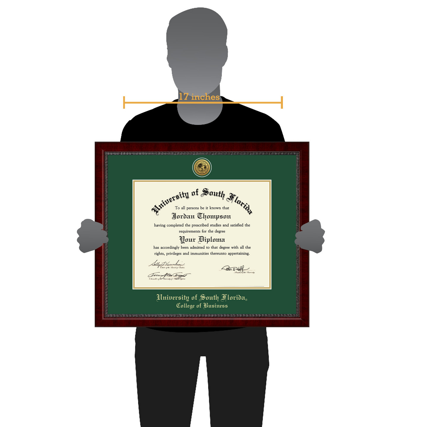 University Of South Florida Diploma Frames at Hilton Miller blog