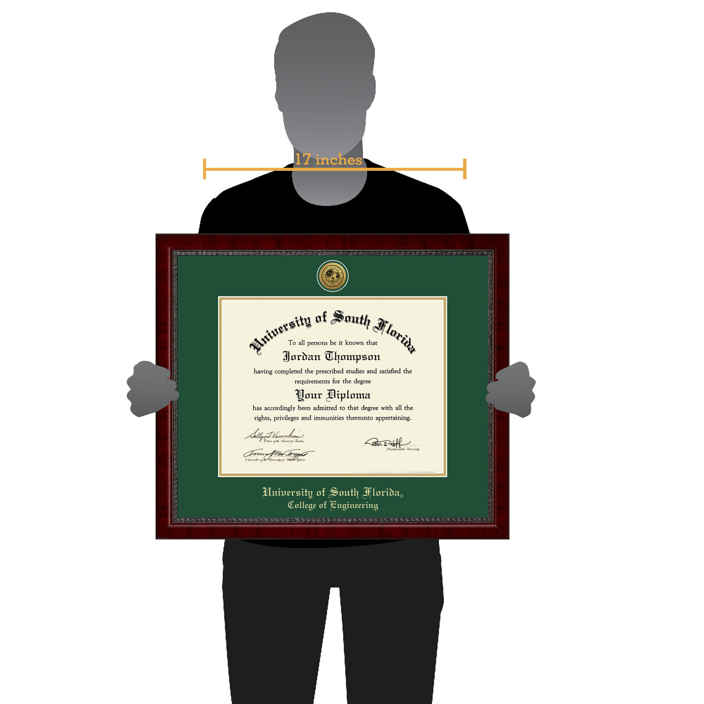 University of South Florida Gold Engraved Medallion Diploma Frame in ...