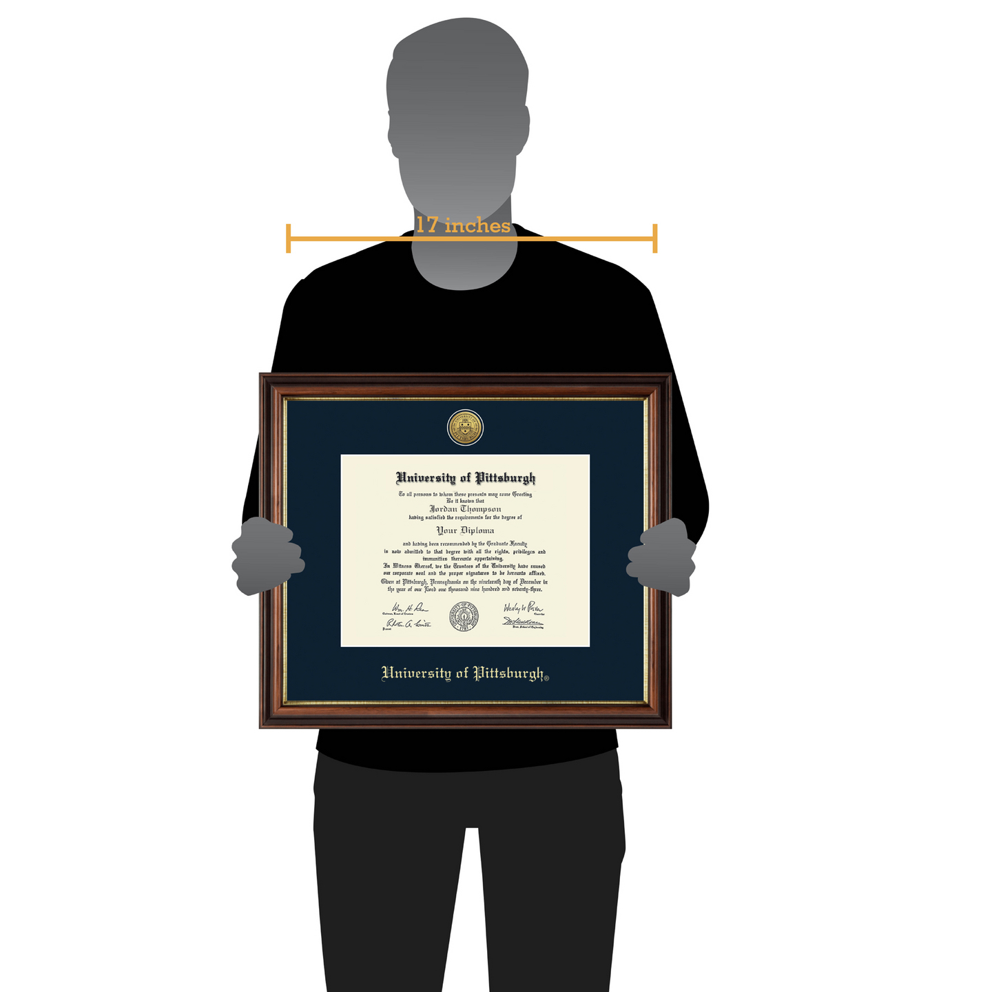 University of Pittsburgh Gold Engraved Medallion Diploma Frame in ...