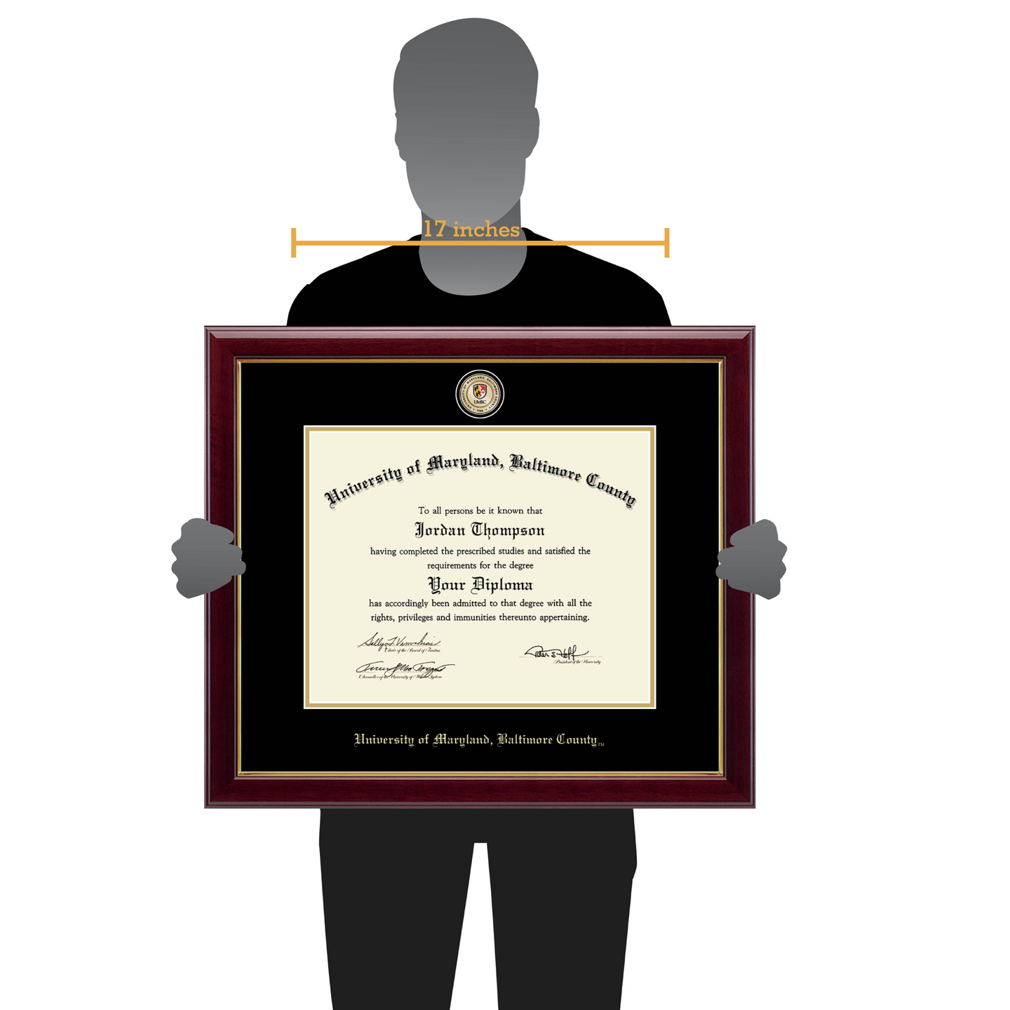 University of Maryland, Baltimore County Masterpiece Medallion Diploma ...