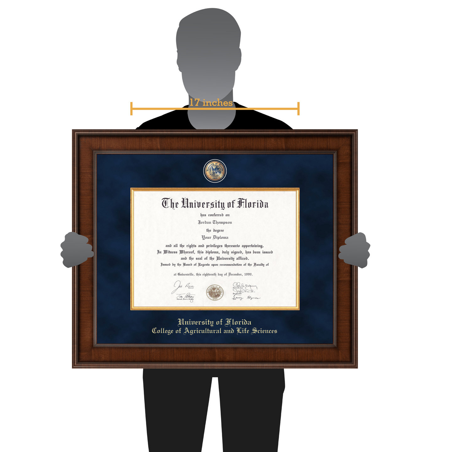 University of Florida Presidential Masterpiece Diploma Frame in Madison ...