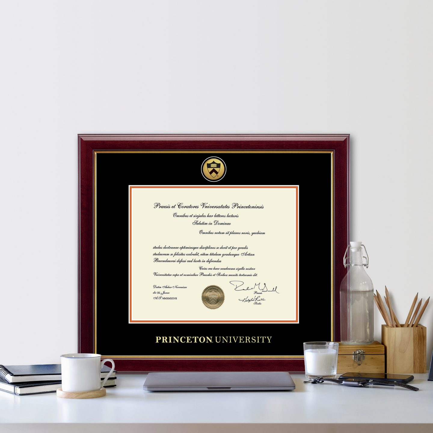 Princeton University Gold Engraved Medallion Diploma Frame in Gallery ...