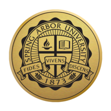 SAU Diploma Frame | Custom Frames Online | Church Hill Classics