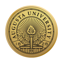 Augusta Diploma Frame | Custom Frames Online | Church Hill Classics