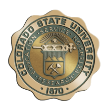 CSU Diploma Frame | Custom Frames Online | Church Hill Classics