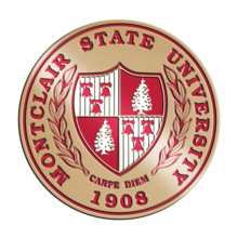 MSU Diploma Frame | Custom Frames Online | Church Hill Classics