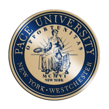 Pace Diploma Frame | Custom Frames Online | Church Hill Classics