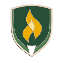 Rasmussen University Diploma Frame | Custom Frames Online