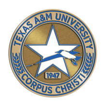 TAMUCC Diploma Frame | Custom Frames Online | Church Hill Classics