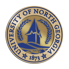 UNG Diploma Frame | Custom Frames Online | Church Hill Classics