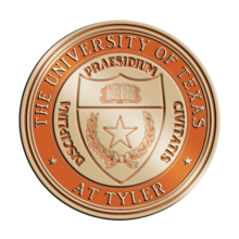 UT Tyler Diploma Frame | Custom Frames Online | Church Hill Classics