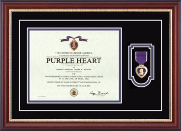 8"x10" - Purple Heart Certificate & Commemorative Medal Frame in ...