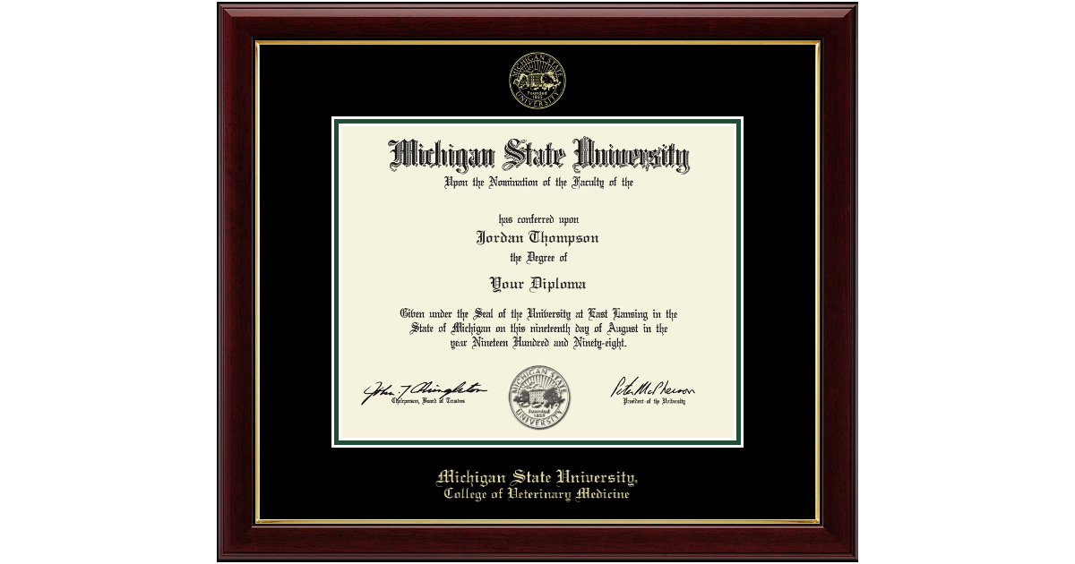 Gold Embossed Diploma Frame in Gallery Michigan State University - Item ...