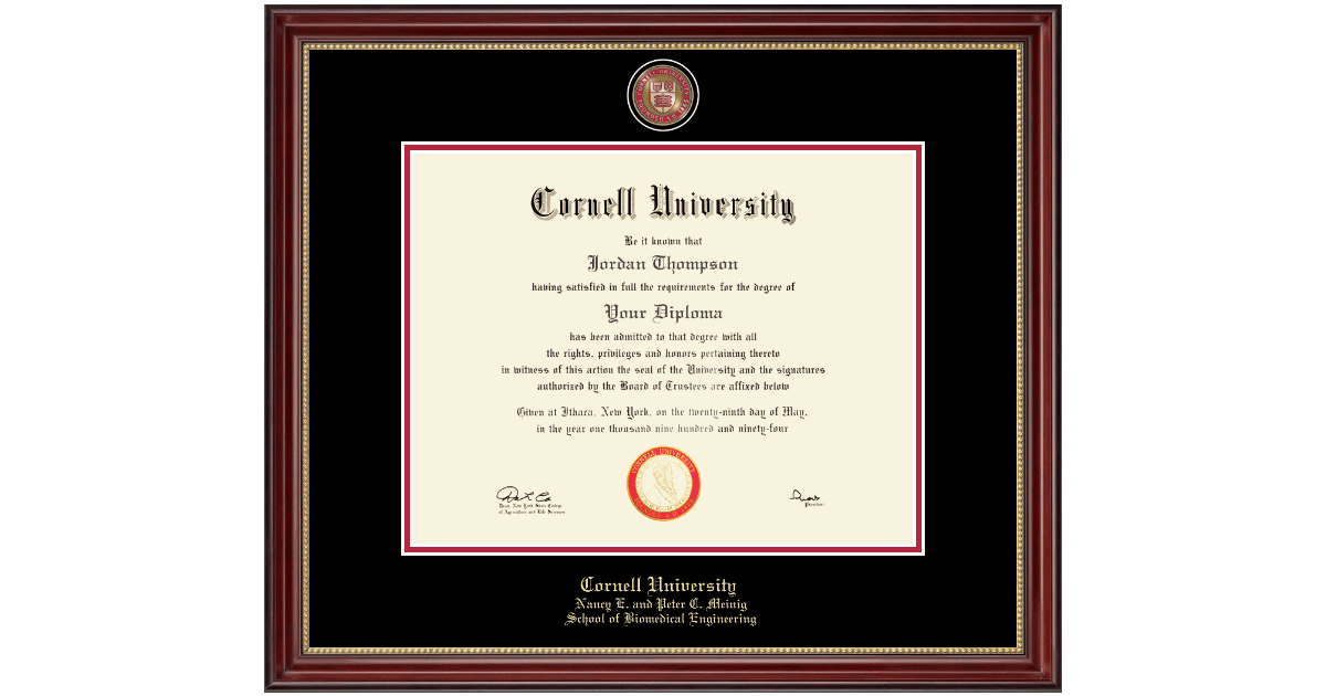 Nancy E. and Peter C. Meinig School of Biomedical Engineering Diploma ...