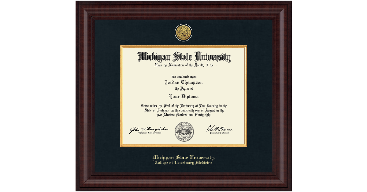 Presidential Gold Engraved Diploma Frame in Premier Michigan State ...