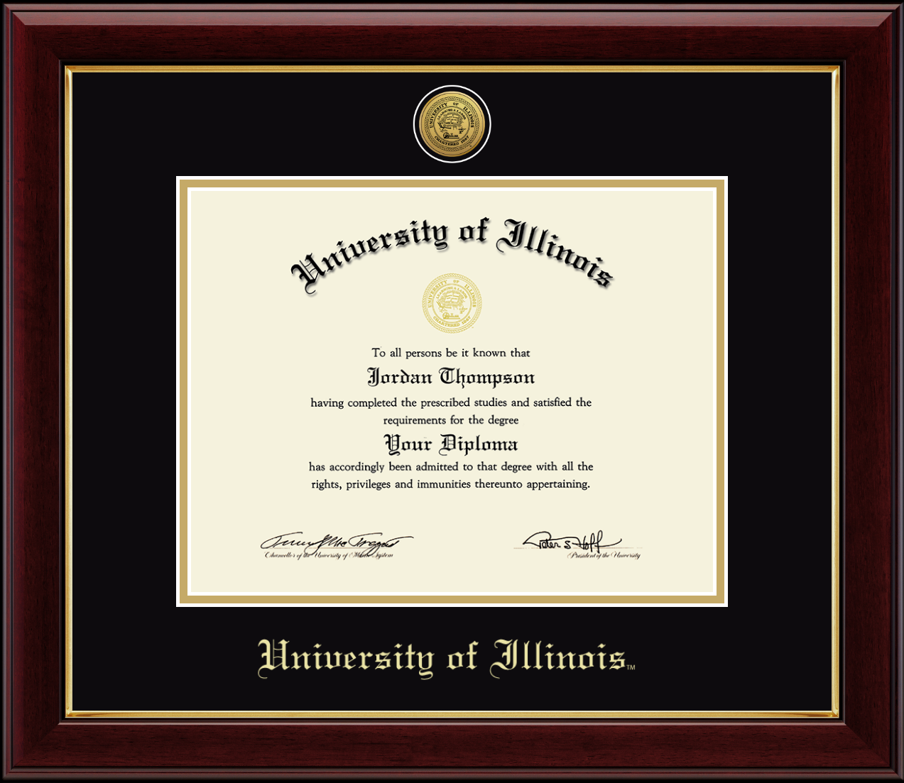 University of Illinois Gold Engraved Medallion Diploma Frame in Gallery ...