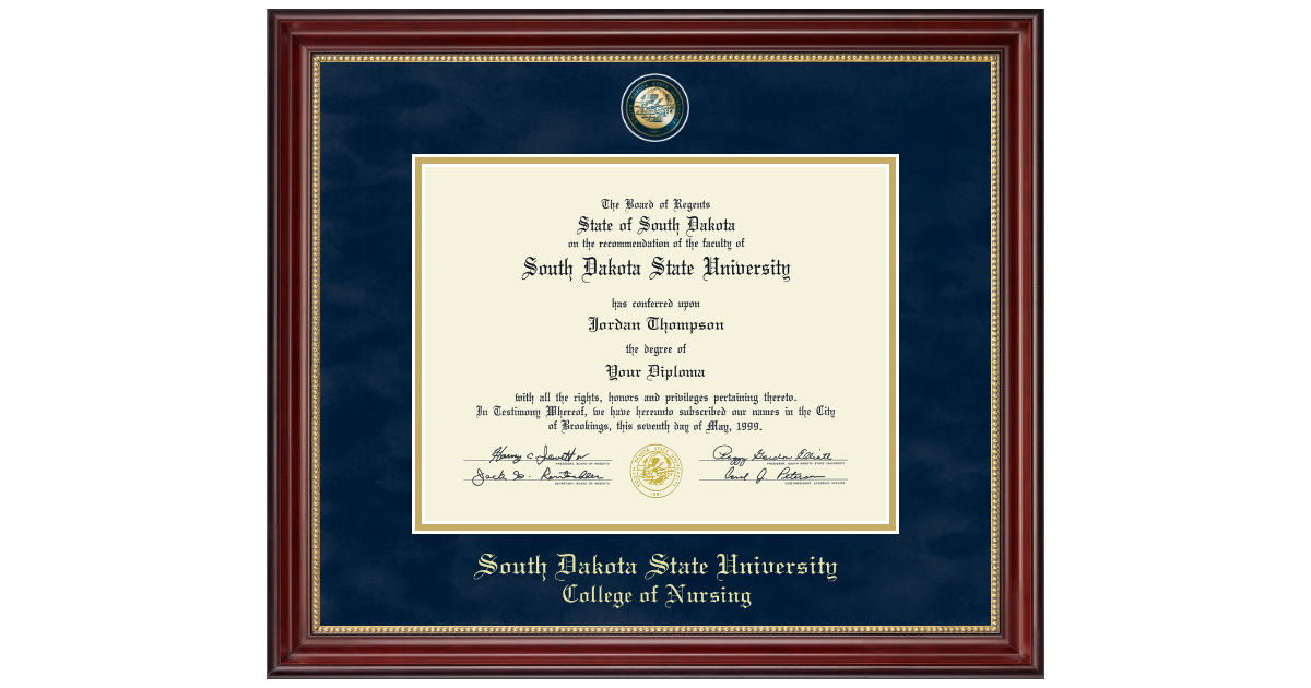 Masterpiece Medallion Diploma Frame in Kensington Gold South Dakota ...