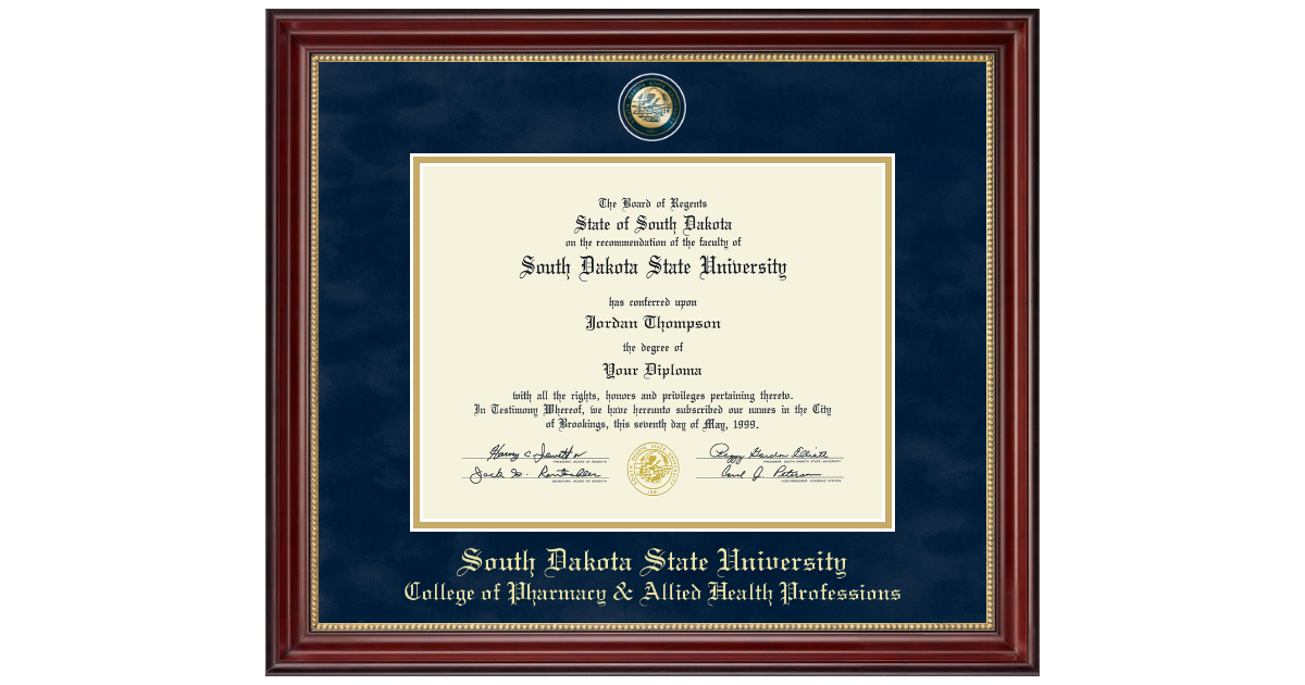 Masterpiece Medallion Diploma Frame in Kensington Gold South Dakota ...