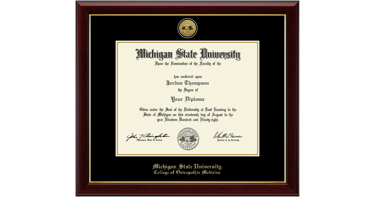 Gold Engraved Medallion Diploma Frame in Gallery Michigan State ...
