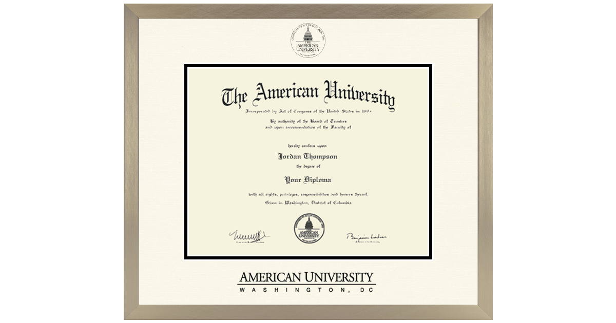 Icon Diploma Frame in Light Champagne - Item #215873-88910 from ...