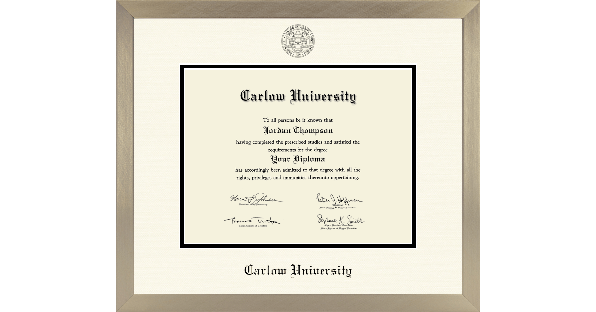 Icon Diploma Frame in Light Champagne - Item #215873-89199 from Carlow ...