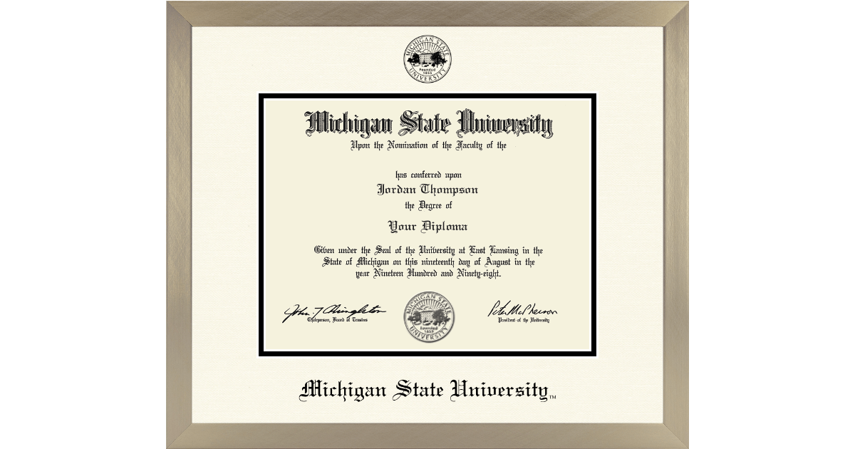 Icon in Light Champagne Michigan State University - Item #215873-89946 ...