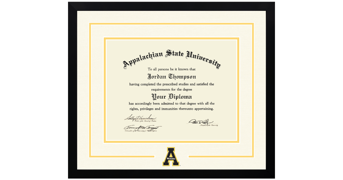 Dimensions Spirit in Gotham Appalachian State University - Item #P96380