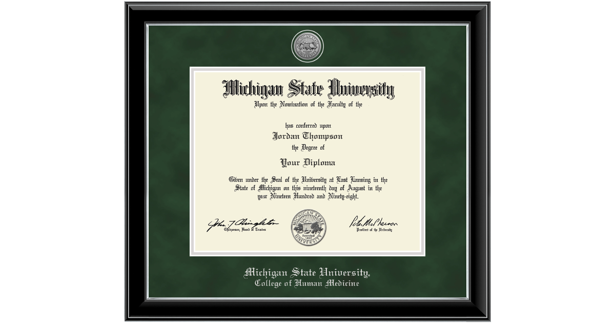 Silver Engraved Medallion Diploma Frame in Onyx Silver Michigan State ...
