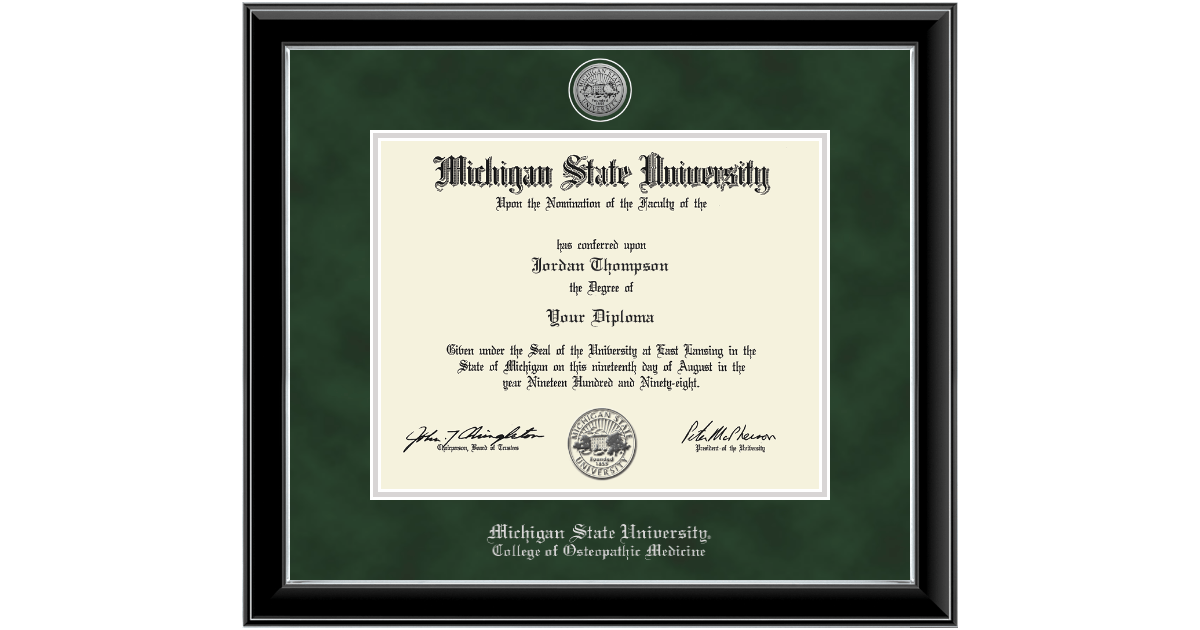 Silver Engraved Medallion Diploma Frame in Onyx Silver Michigan State ...