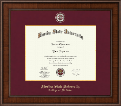 FSU College of Medicine Diploma Frames | Church Hill Classics