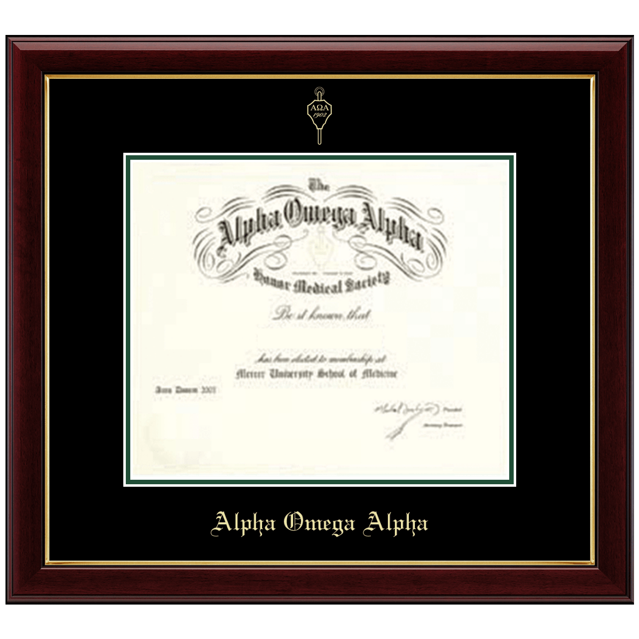 Double Matted Embossed Frame in Gallery Alpha Omega Alpha Honor Society ...