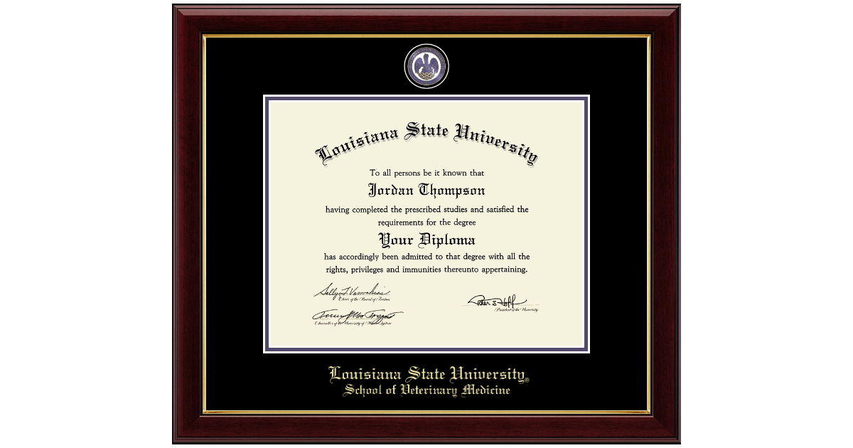 Masterpiece Medallion Diploma Frame in Gallery Louisiana State ...